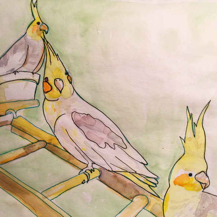 Plasticity | Shane de Leon | North Pole Records