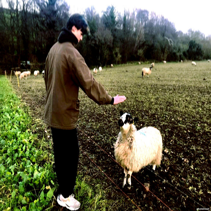 Sheep | COMMUNIST SEX MAGIC