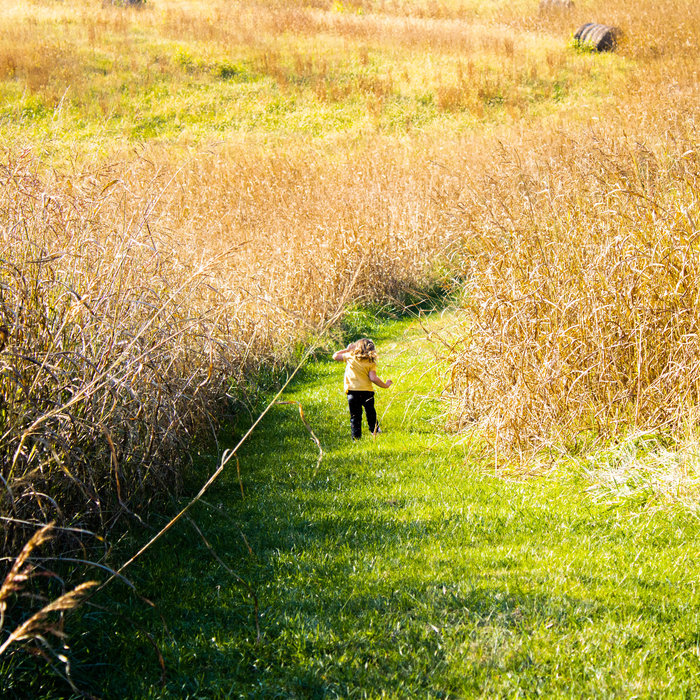 The Magician | Rusty Waters