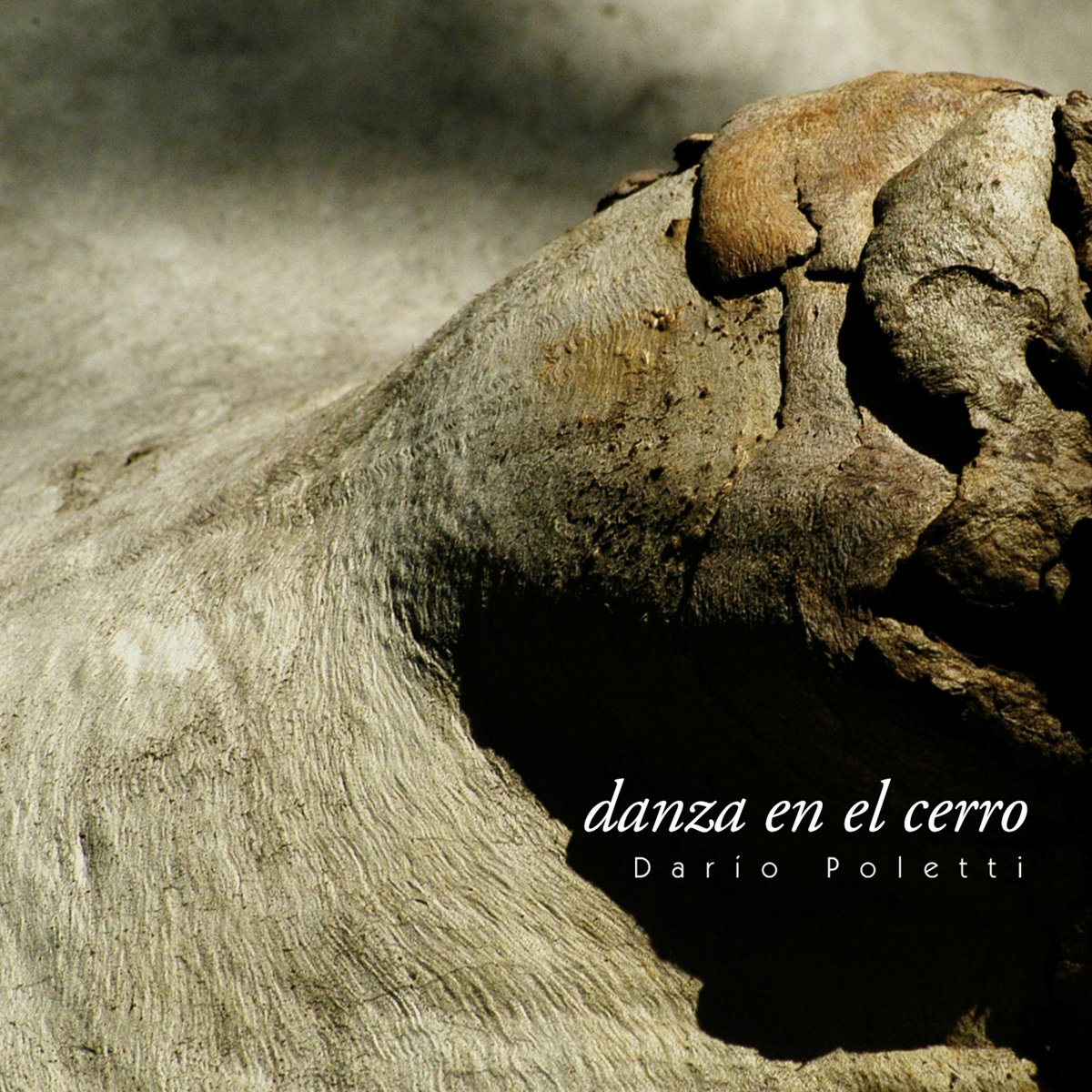 Danza en el Cerro | Darío Poletti