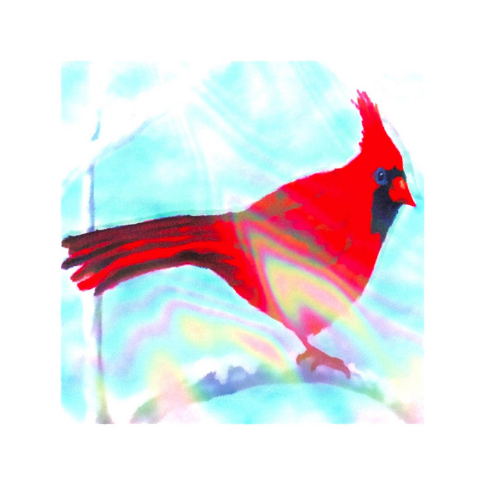 CARDINAL DEMOS | 4:44 ARCHIVE