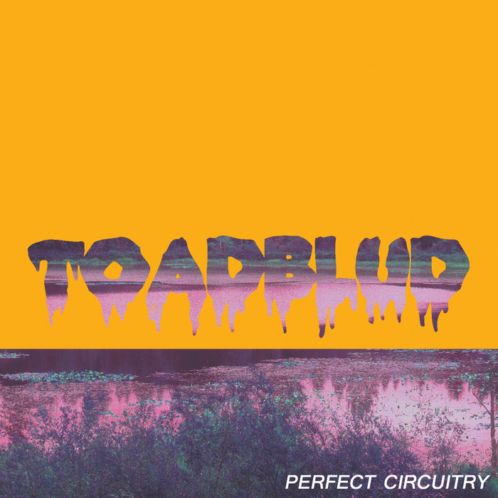 Perfect Circuitry | TOADBLUD