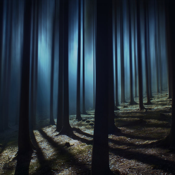 shadow man ft night ripper prod. Mauler | night ripper