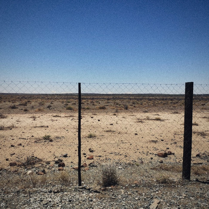 this is looking | Liesl Lindeque