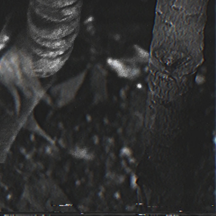 El Rostro Negro | Iatromantis