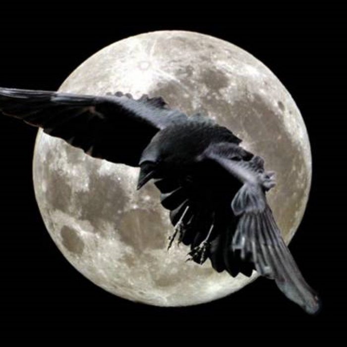 Call of the Raven | Raven's Call