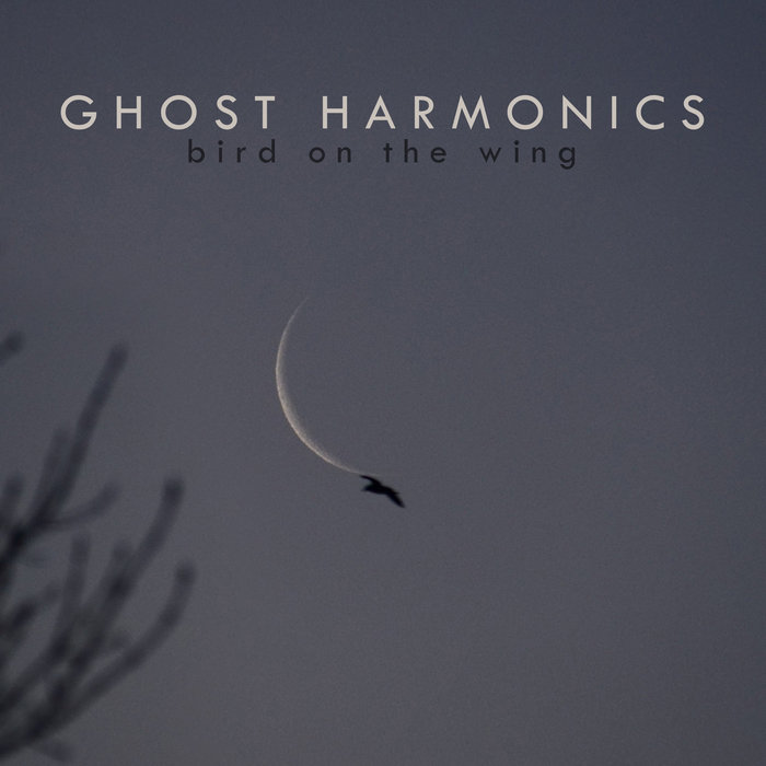 Bird on the Wing | Ghost Harmonics