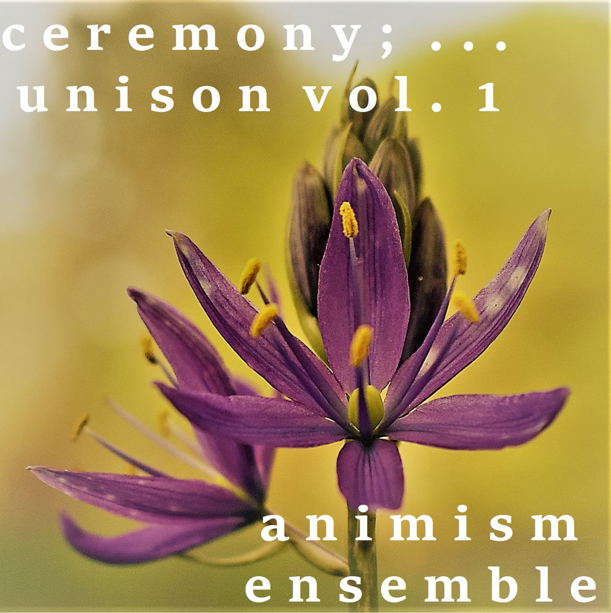 Ceremony; ... Unison Vol. 1 | Animism Ensemble