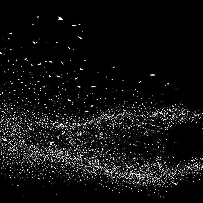 A Dark Murmuration of Strings | Emily Barker with Carducci String ...