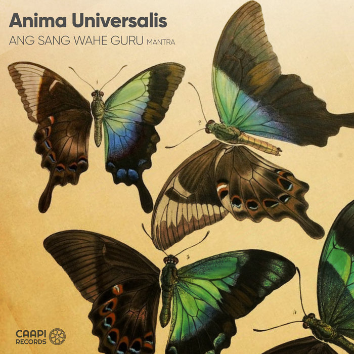 Ang Sang Wahe Guru Mantra | Anima Universalis | Caapi Records
