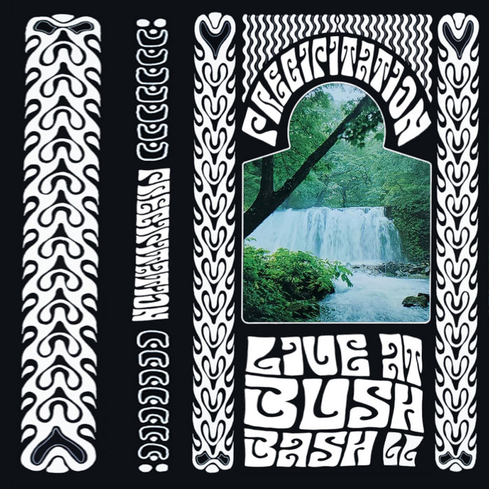 [JGT108] "Live At BushBash II" | Precipitation | JUNGLE GYM RECORDS