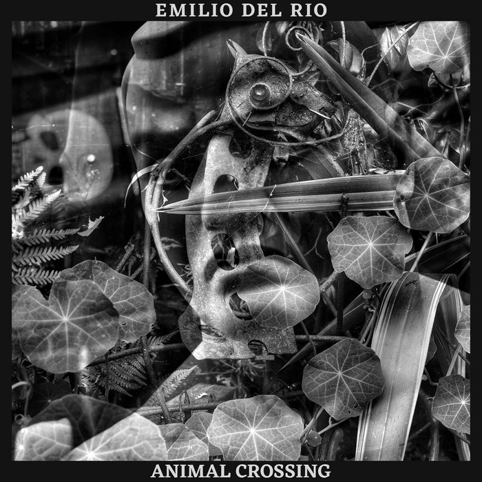 Animal Crosssing | Emilio del Rio