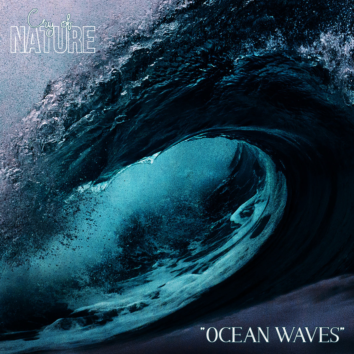 Ocean Waves | Cry of Nature