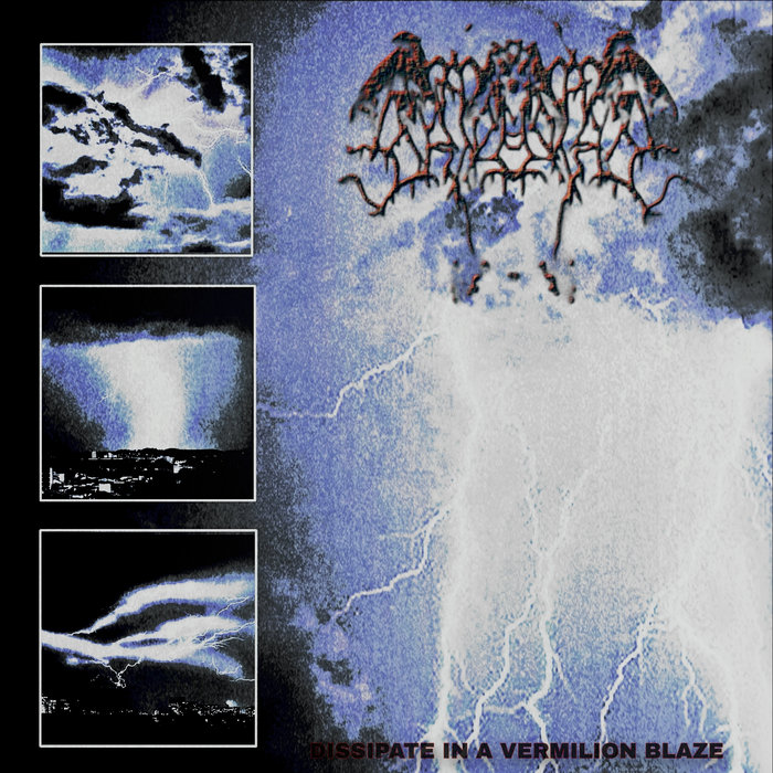 Dissipate In A Vermilion Blaze | DRAPE
