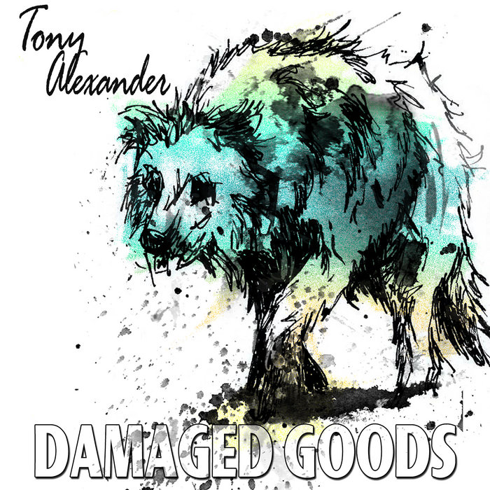 THE AUTHOR | TONY ALEXANDER | Tony Alexander