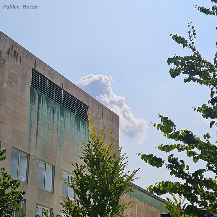 Better | pabLeo | Pableo