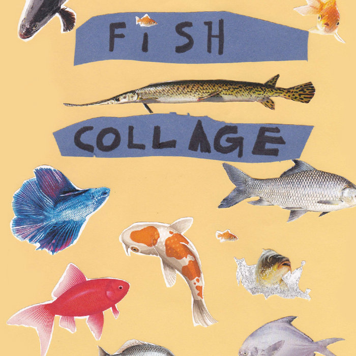 Fish Collage | Fish Collage