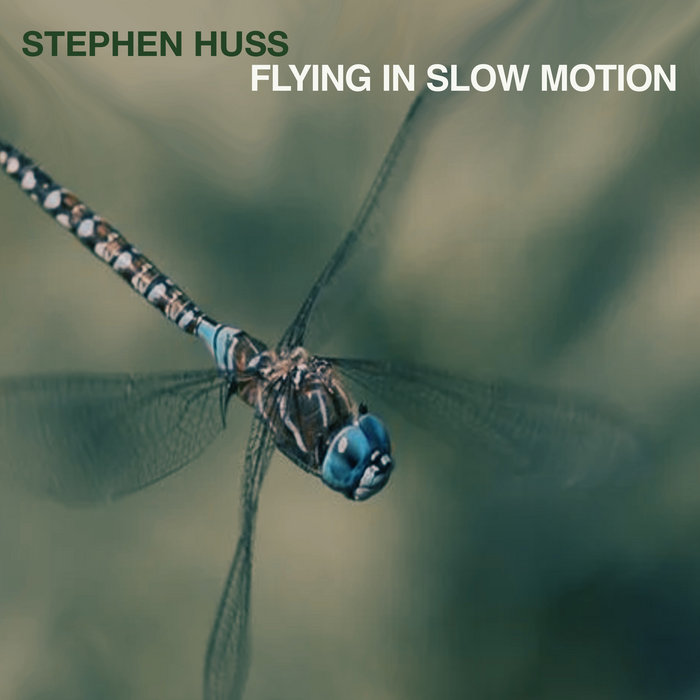 Flying In Slow Motion | Stephen Huss | Psyche