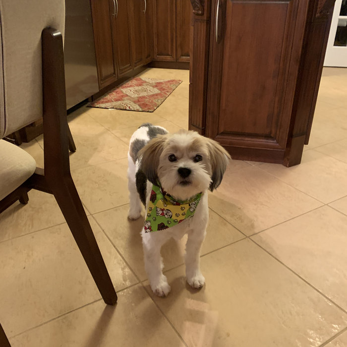 DynaTAC | Michael Tiller