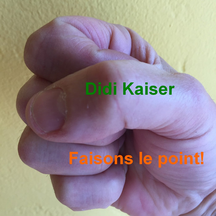 FAISONS LE POINT! | Didi Kaiser