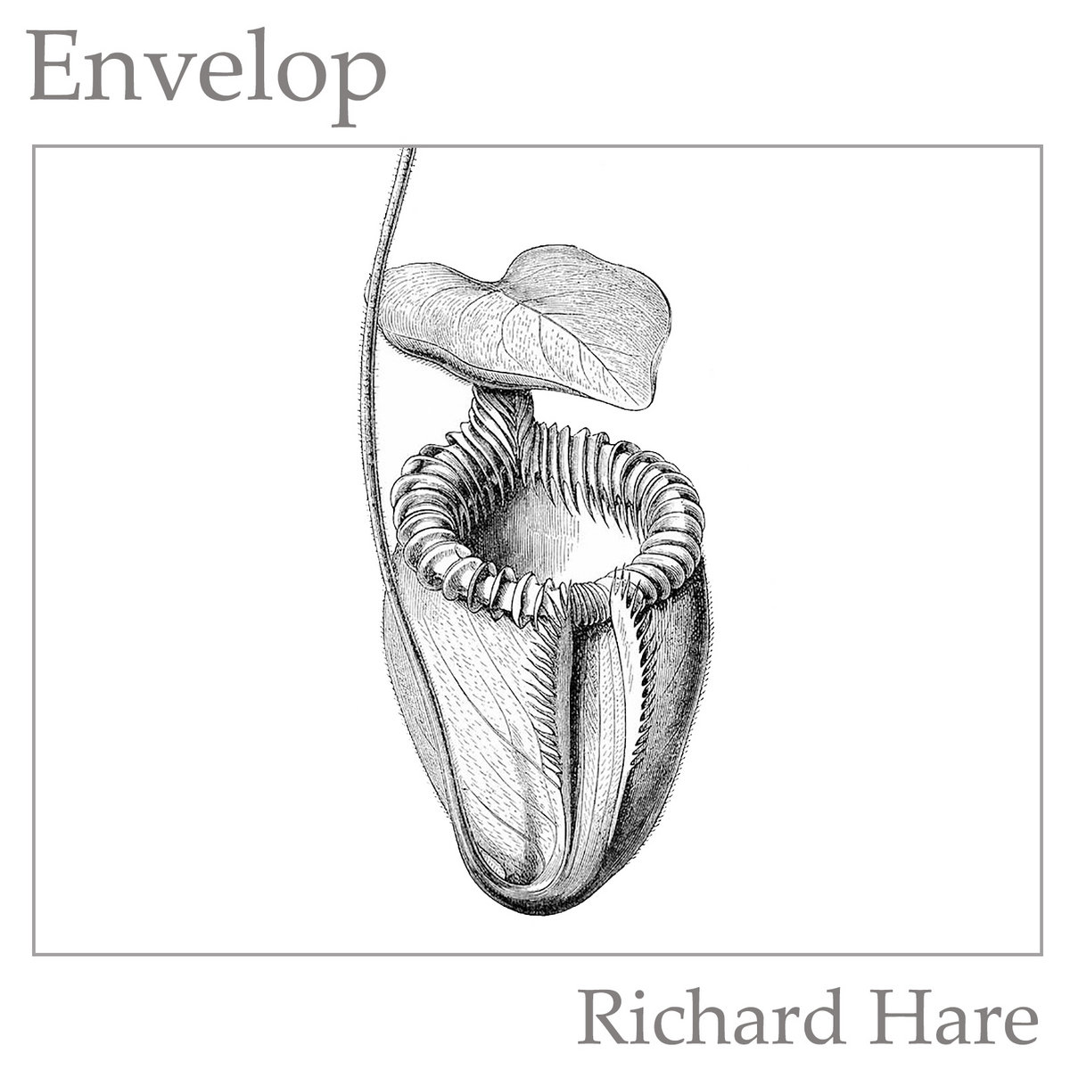Envelop | Richard Hare