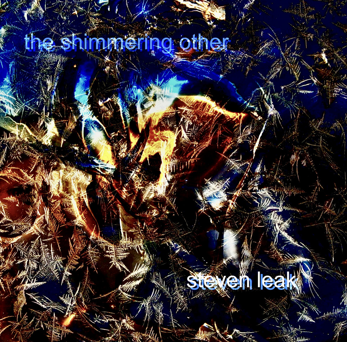 the shimmering other | steven leak