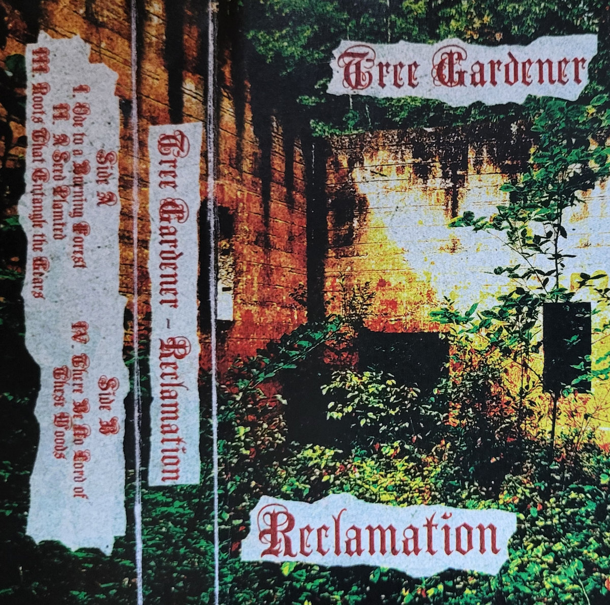 Reclamation | Tree Gardener
