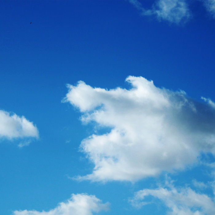 Tango Lima Charlie | Thenoisemachine