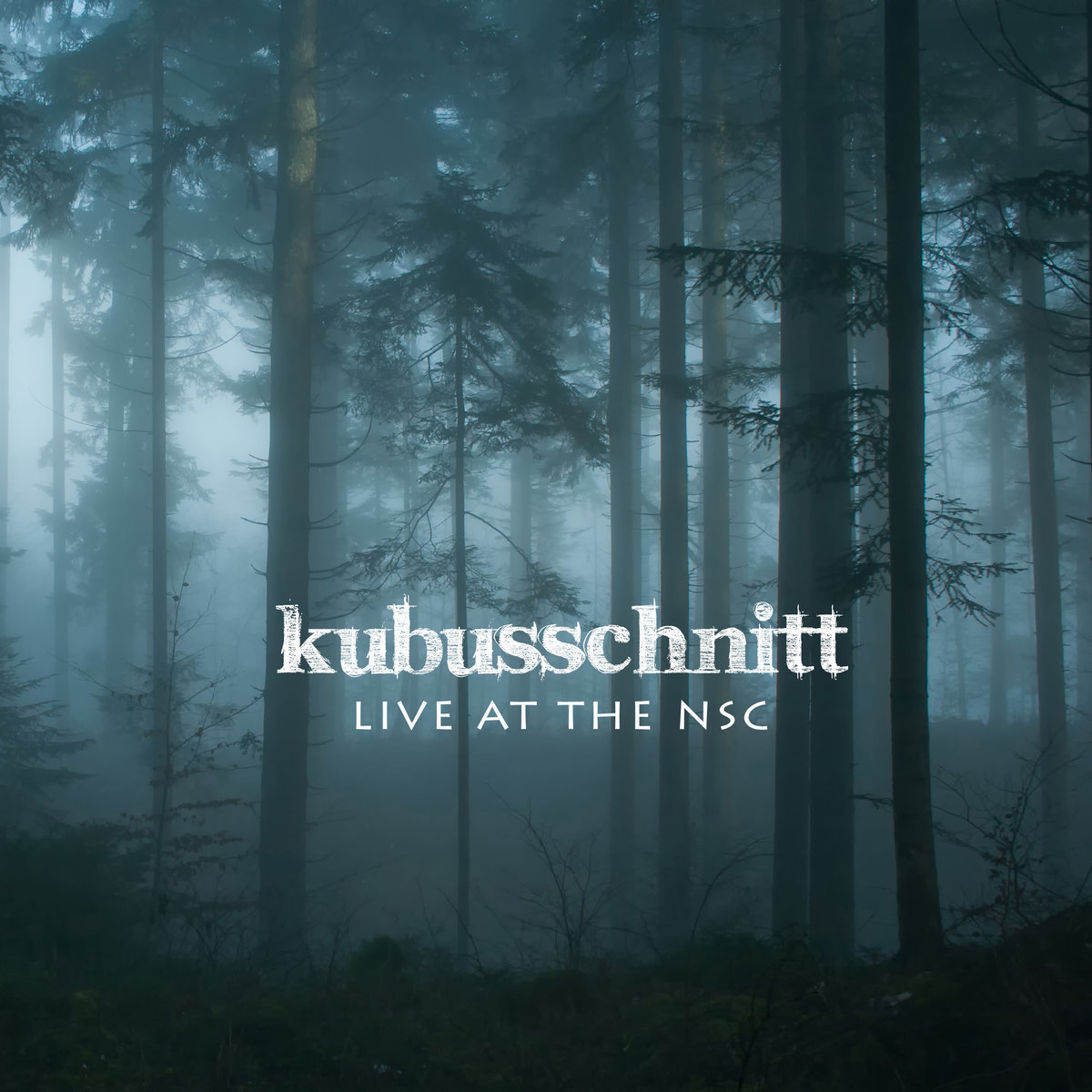 Live at the NSC | Kubusschnitt