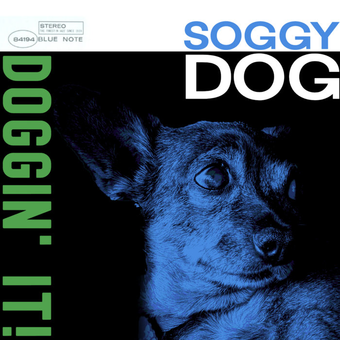 Doggin' It! | Soggy Dog
