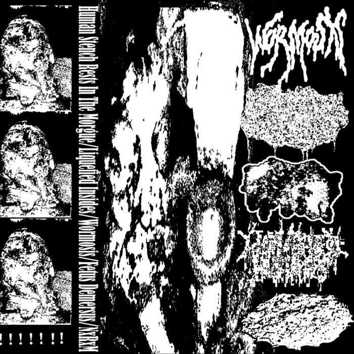 Split with Human Stench Rests In The Morgue/Liquified Insides/Wormosis ...