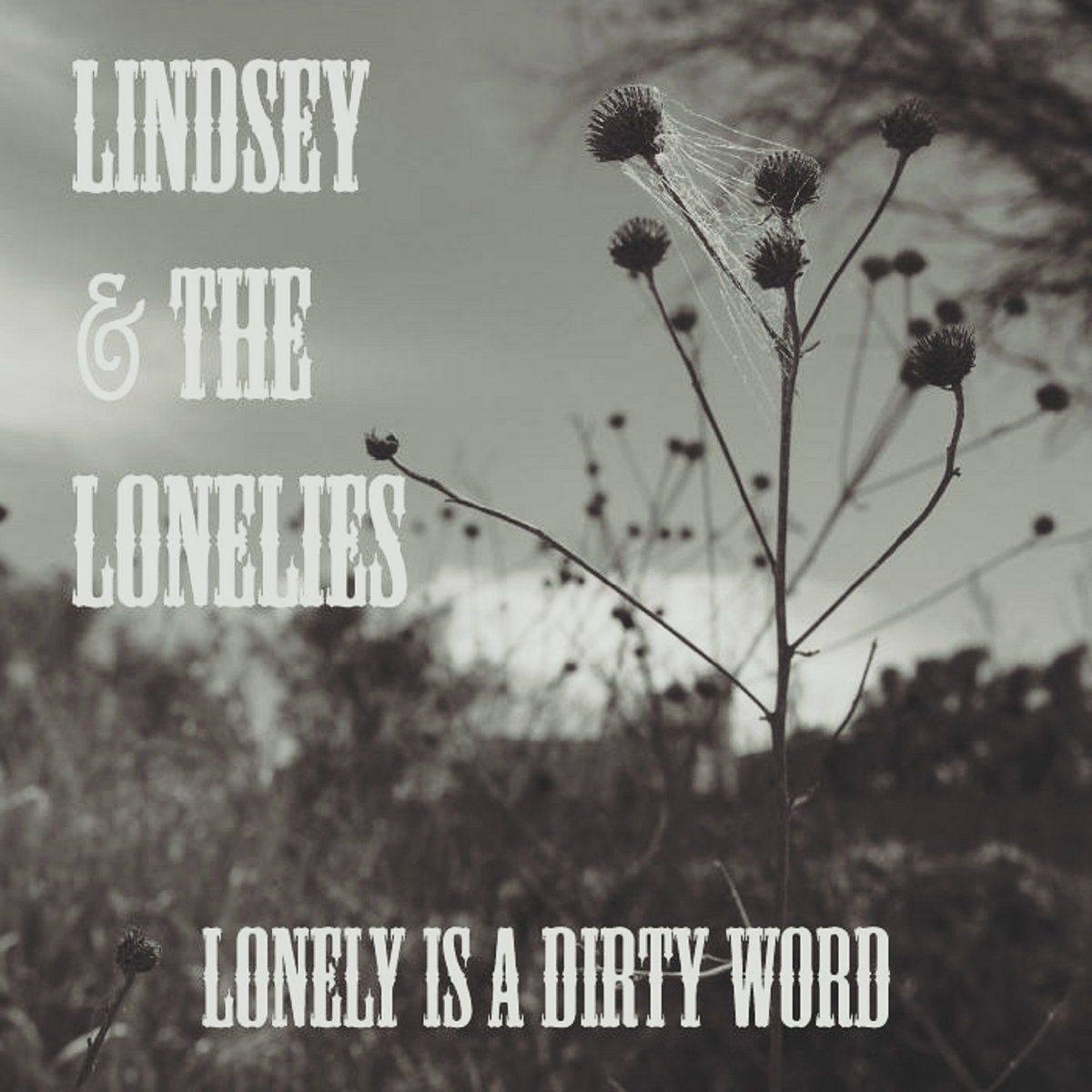 Lonely Is A Dirty Word Lindsey The Lonelies lonely-is-a-dirty-word-lindsey-the-lonelies