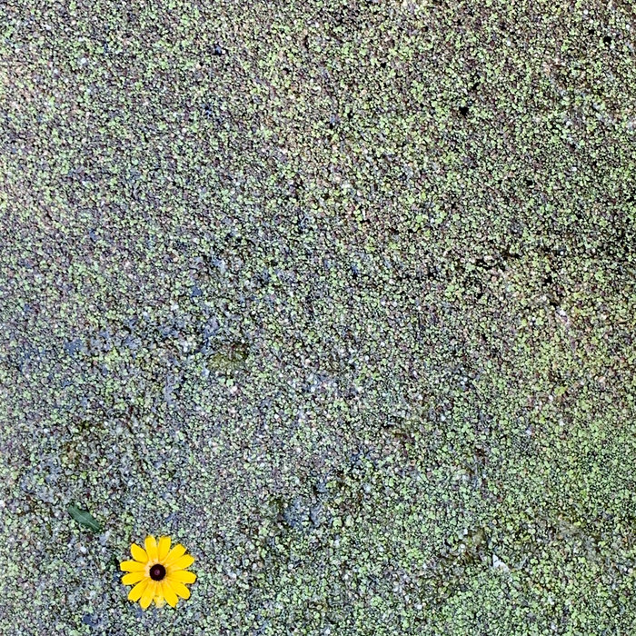 Sketches of Summer | Alex Fiedler