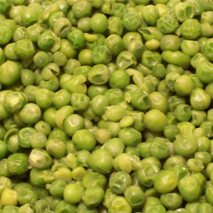 Sea of Peas | Superluminal Pachyderm