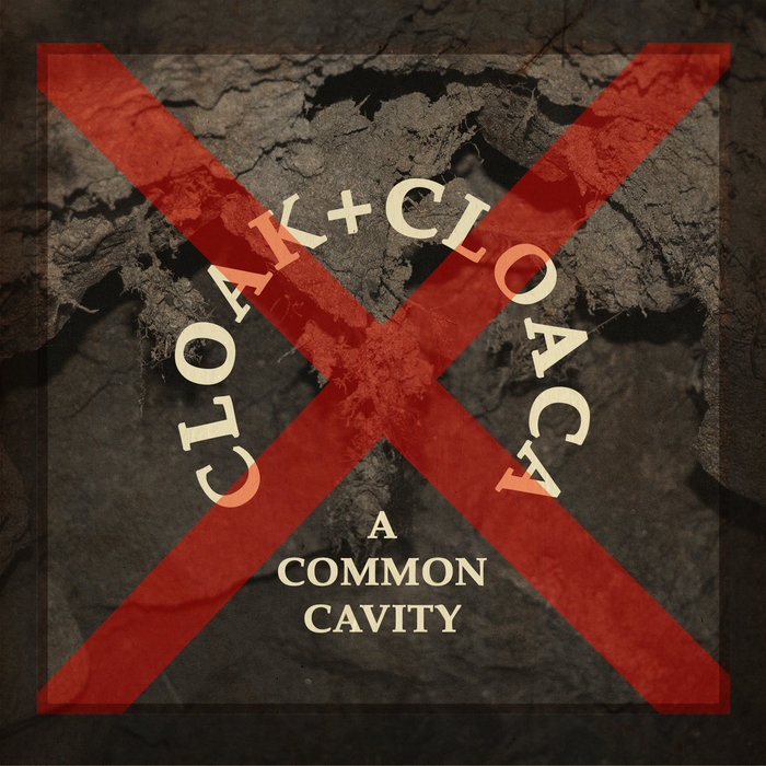 A COMMON CAVITY | CLOAK+CLOACA | GRM / TOTES FORMAT