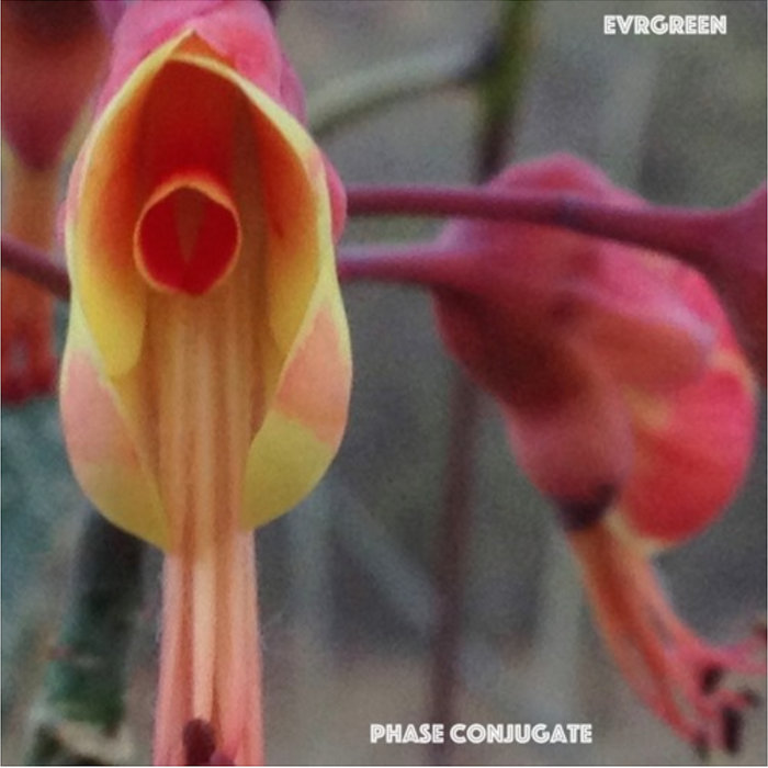 Phase Conjugate | Evrgreen | PPM