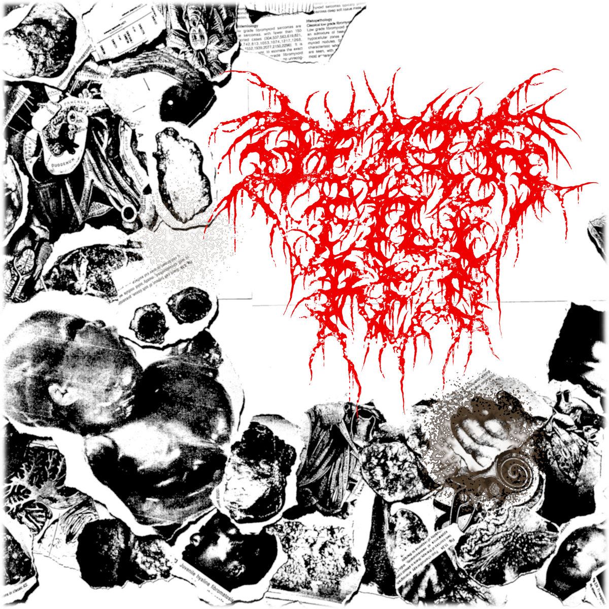 P95 (Demo) | Death File Red