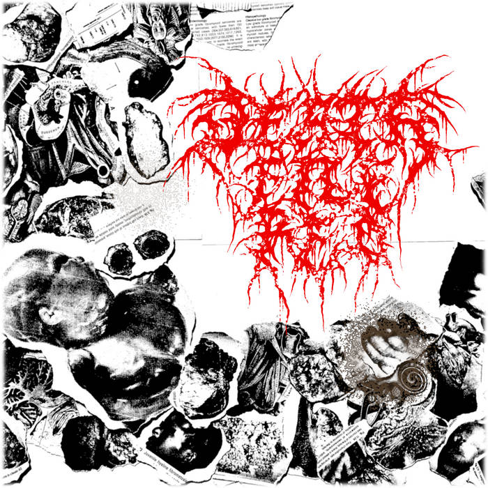 ltd777's collection | Bandcamp