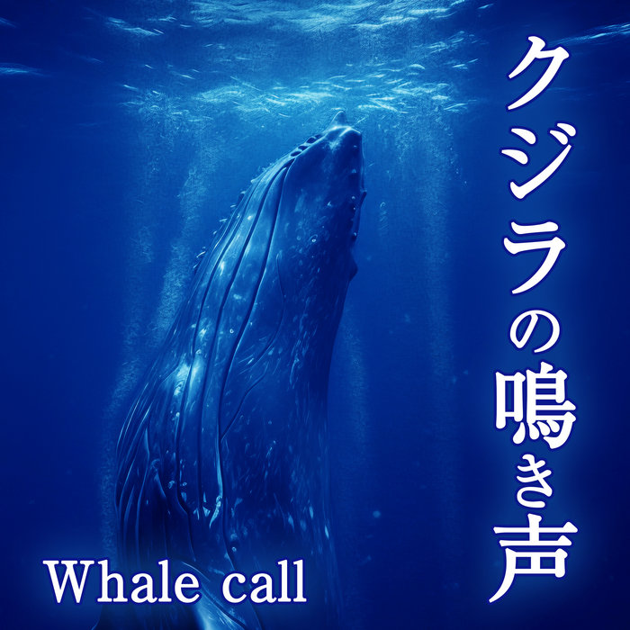 Whale call | Japanese Nature Sounds