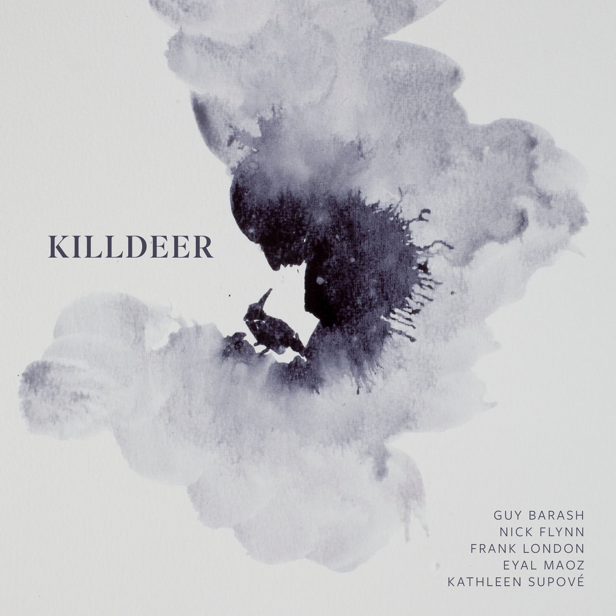 Killdeer | Guy Barash | New Focus Recordings