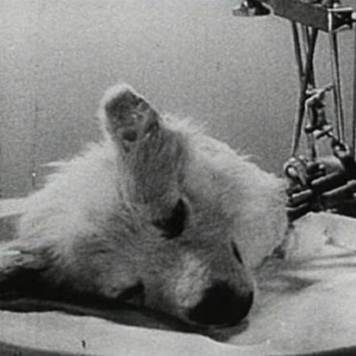 Nightmare Lab (Remastered) | Psychetect