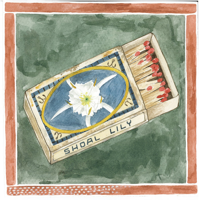 Shoal Lily | Andy Johnson