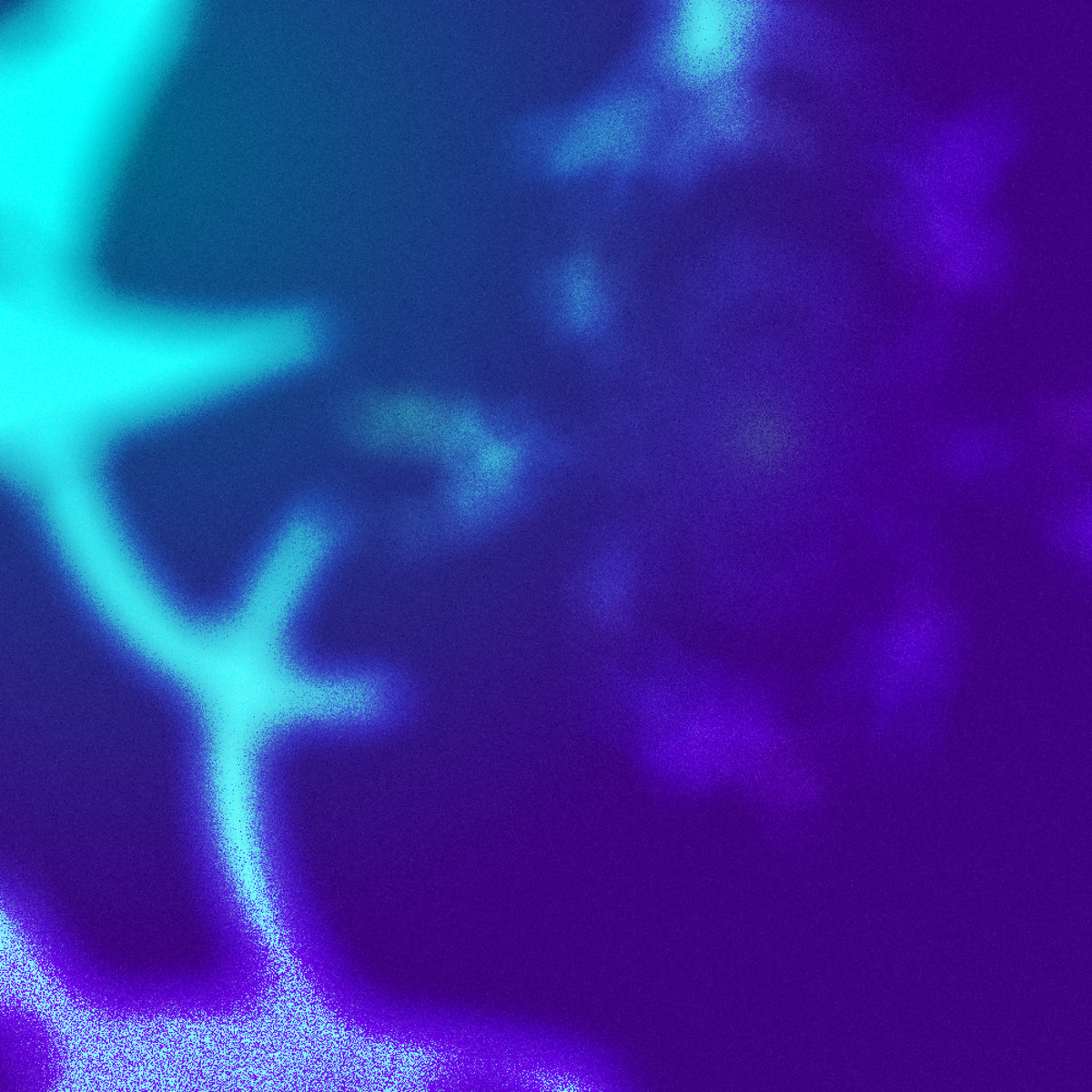 Neon Detective | Sujal Maharjan