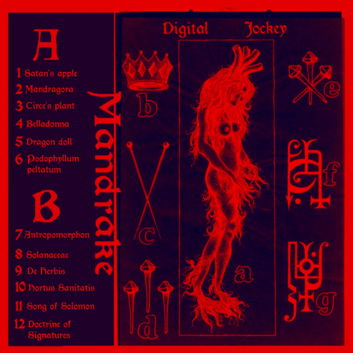 Mandrake | Digital Jockey