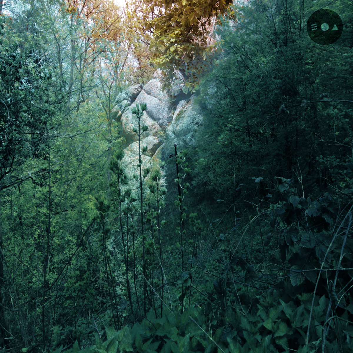 Exploration Series: Isle Of Faces | Evolving Omniscient Machine