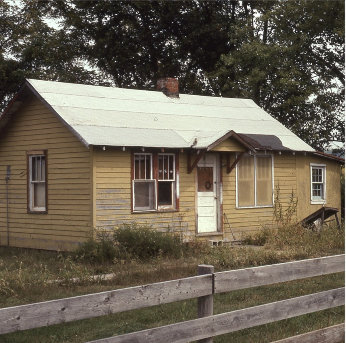 Too Many Hands | David Haggard