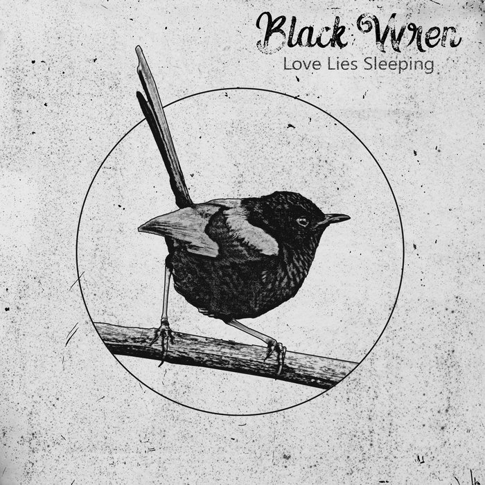 Love Lies Sleeping | Black Wren