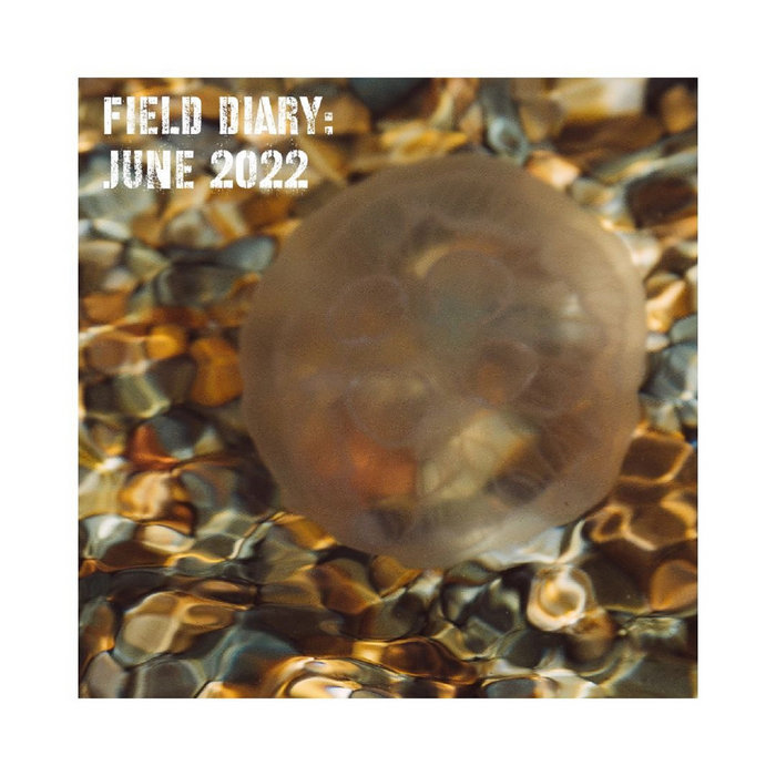 Field diary: June 2022 | various artists | brokentaperecords
