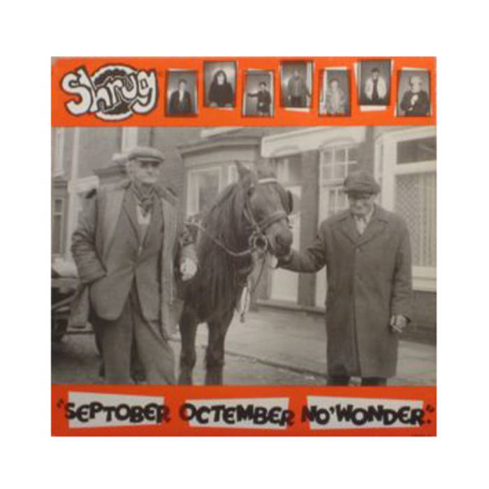 Septober Octember No Wonder! LP | Shrug