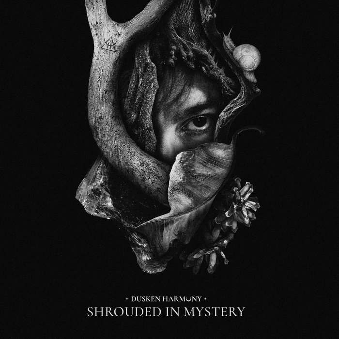 Shrouded in Mystery | Dusken Harmony